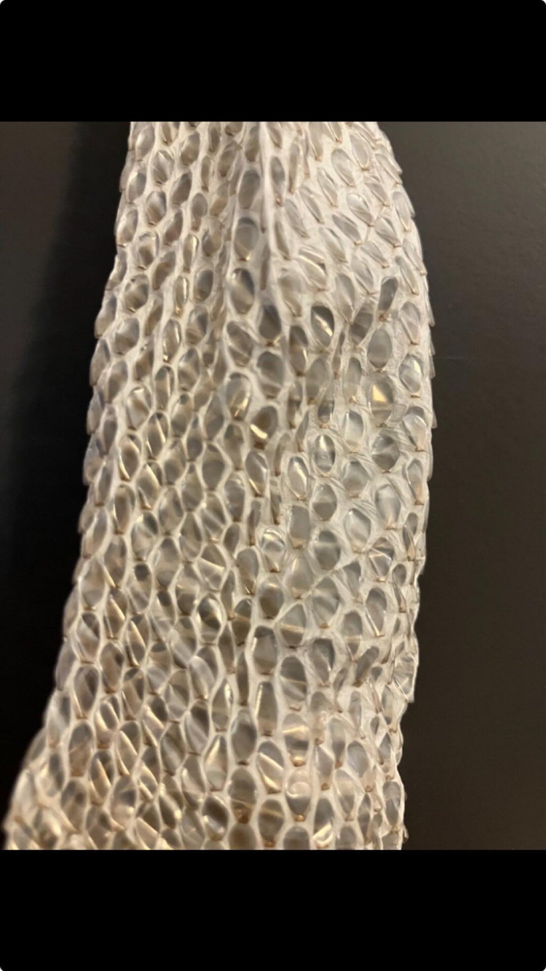 5 Foot Natural Snakeskin - Etsy