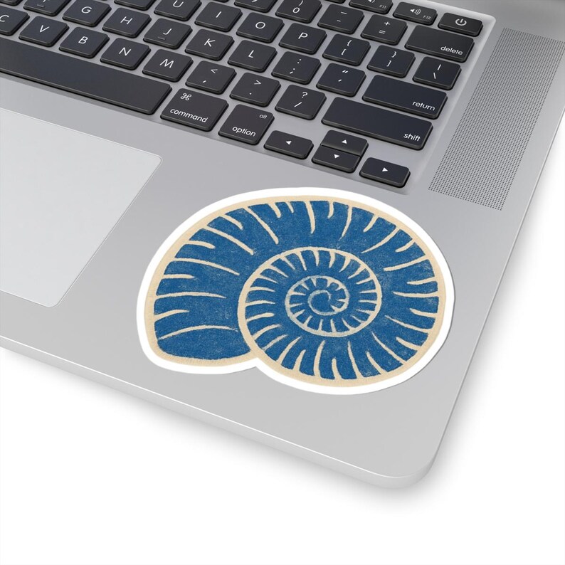 Blue Nautilus Shell Sticker | Coastal Decor, Laptop Decal - Etsy