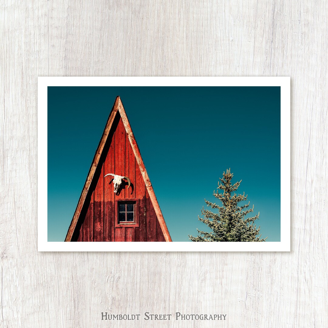 Alpine A-frame - Cow Skull Photograph - Southwestern Rustic Wall Art ...