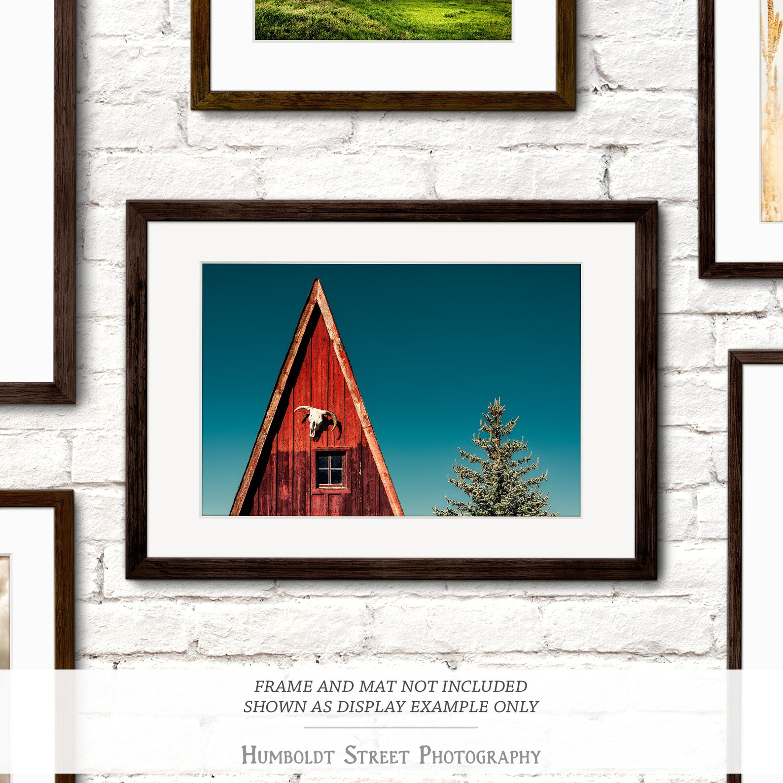 Alpine A-frame - Cow Skull Photograph - Southwestern Rustic Wall Art ...