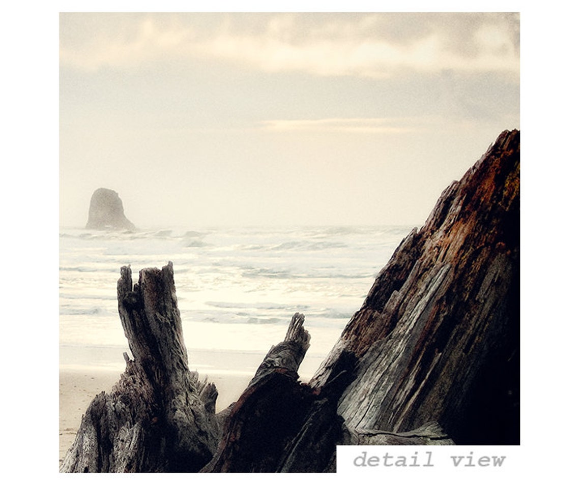 Drift Ashore Nature Photography Beach Photograph Ocean | Etsy