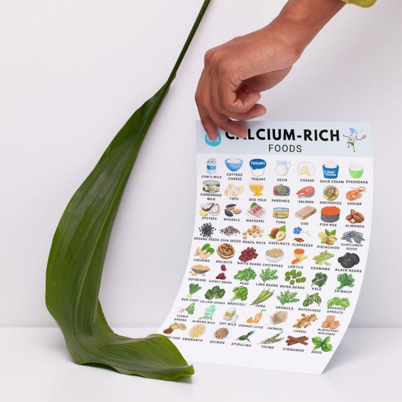 High Calcium Food Chart, Calcium-rich Foods List, Osteoporosis Food ...