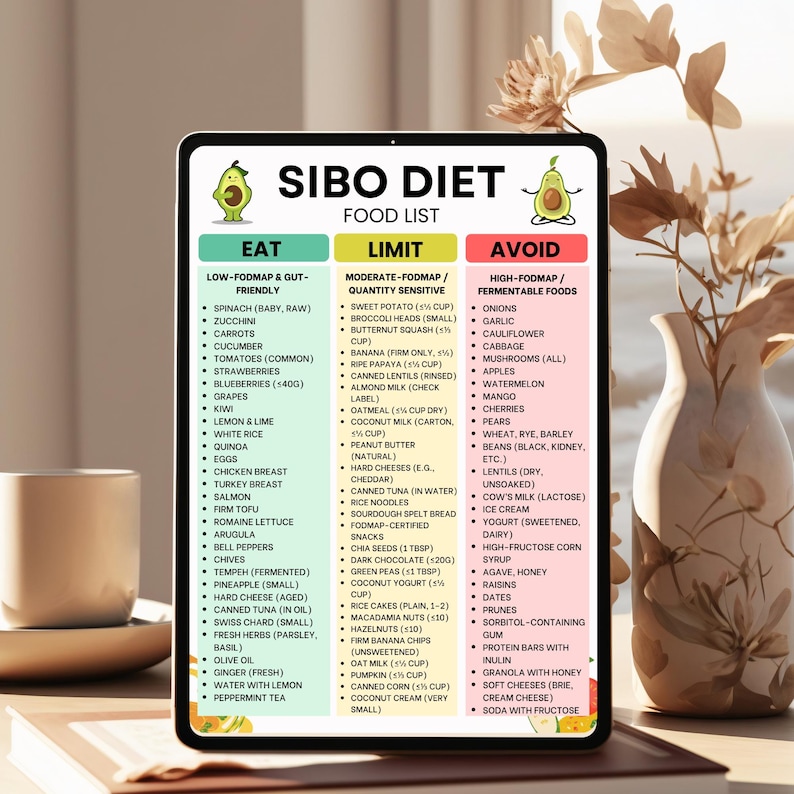 SIBO Diet Food List, Printable Low FODMAP Chart, Gut-friendly Grocery, Ibs Grocery List, Fodmap ...