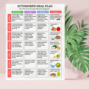 Ectomorph Meal Plan PDF, 7-day Macro-based Food Chart, Printable ...