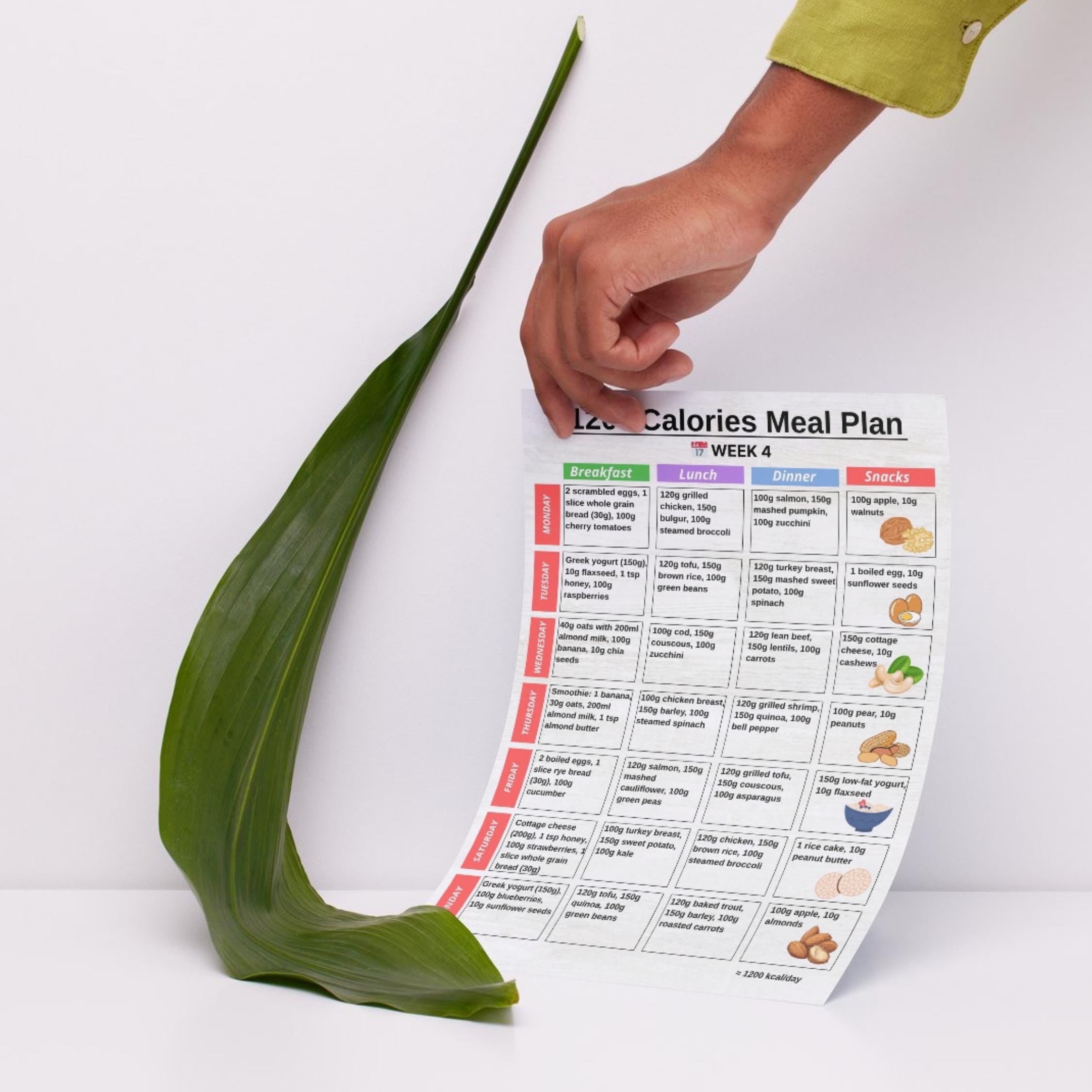 1200 Calorie Meal Plan 4-week PDF, 1200 Calories Diet Food List, 1200 ...
