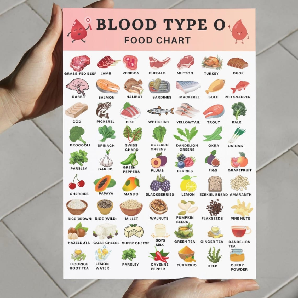 Blood Type O Food List, Blood Group O Chart, Food Choices for Blood ...