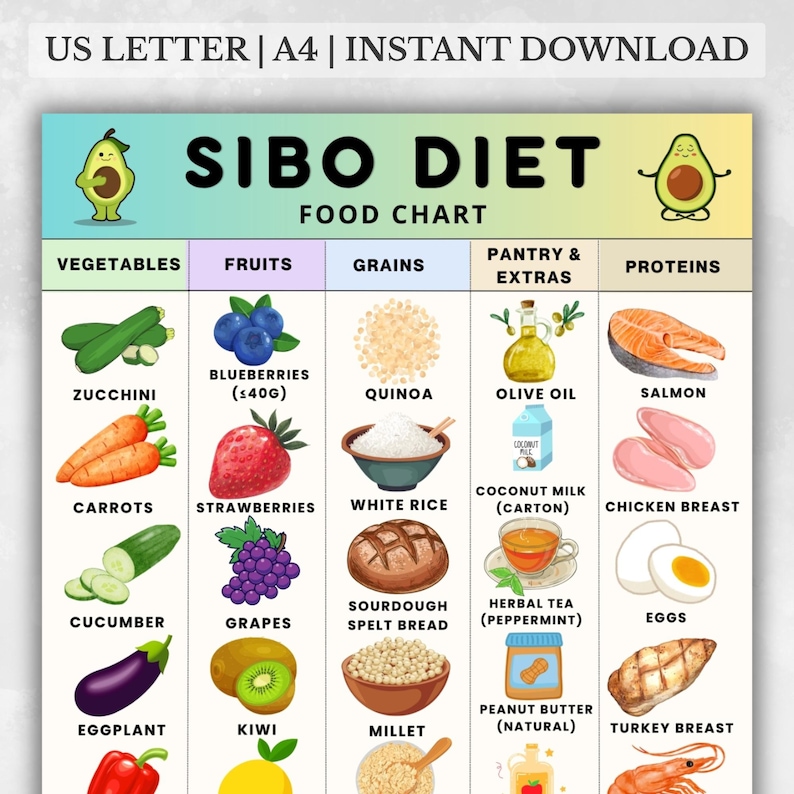 SIBO Diet Food Chart Printable, Low FODMAP Food List, Gut-friendly Grocery PDF, Sibo Diet Food ...