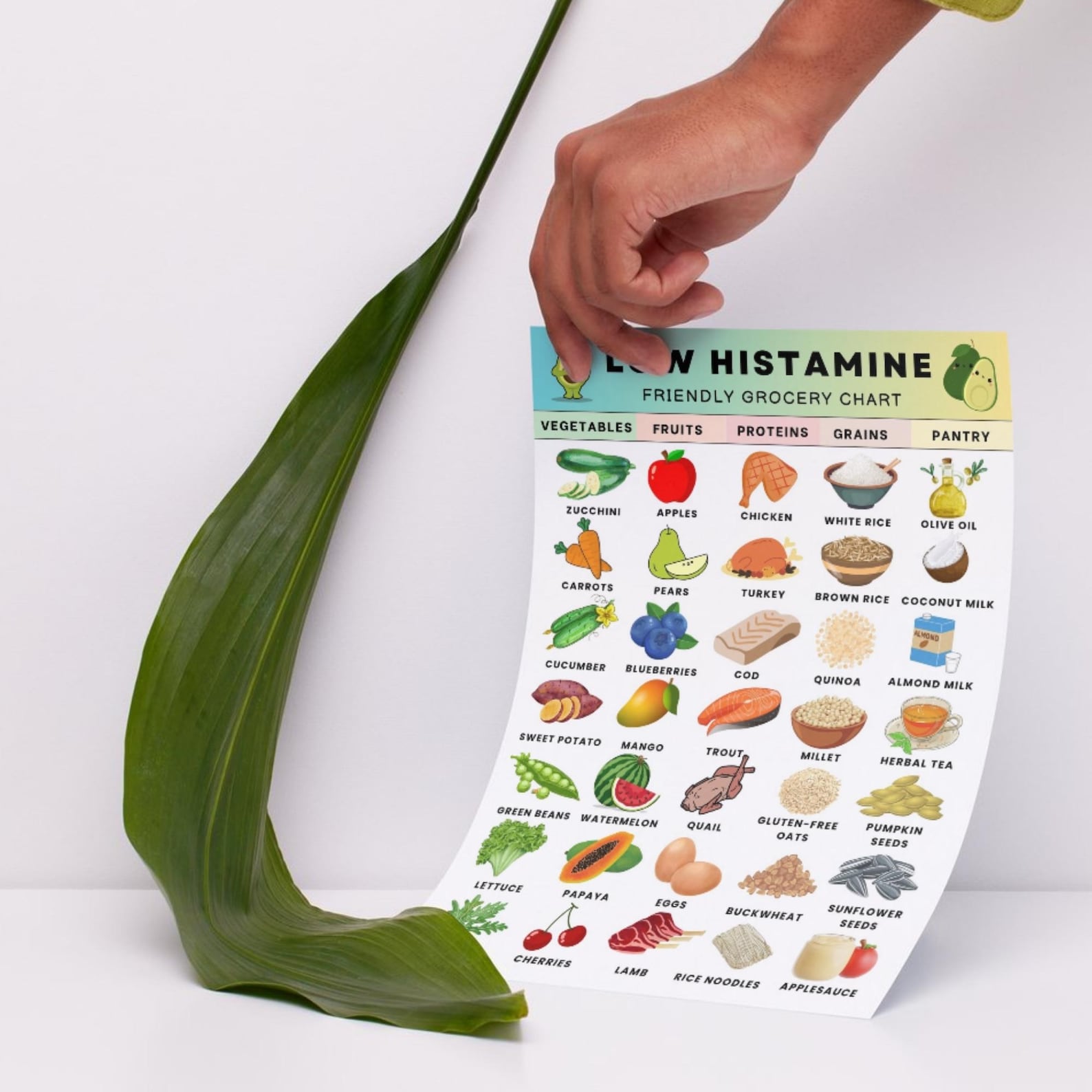 Low Histamine Food Chart, Low Histamine Grocery List, Low Histamine ...