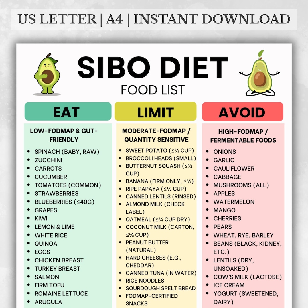 SIBO Diet Food List, Printable Low FODMAP Chart, Gut-friendly Grocery, Ibs Grocery List, Fodmap ...