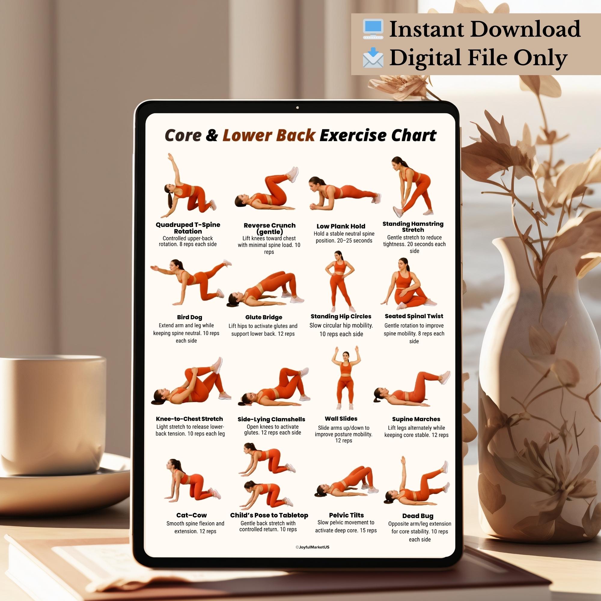 Low Impact Core & Back Exercises | Core Stability Workout Chart ...