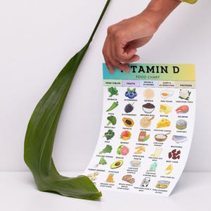 Vitamin D Food List Printable PDF, High Vitamin D Grocery List, High ...
