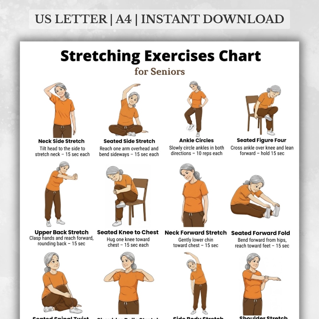 Senior Stretching Exercises | Seated & Standing Stretch Workout Chart ...