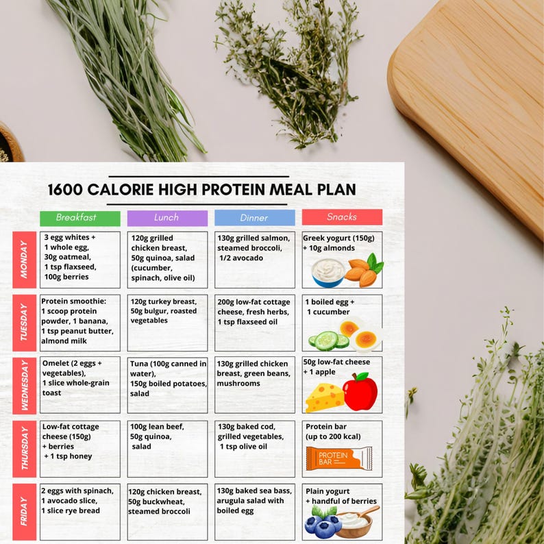 1600 Calorie High Protein Meal Plan PDF, Low Carb Food Chart, 7-day ...