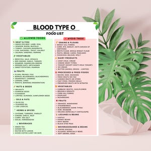 Blood Type O Food Chart, Type O Grocery List Printable, Shopping List ...