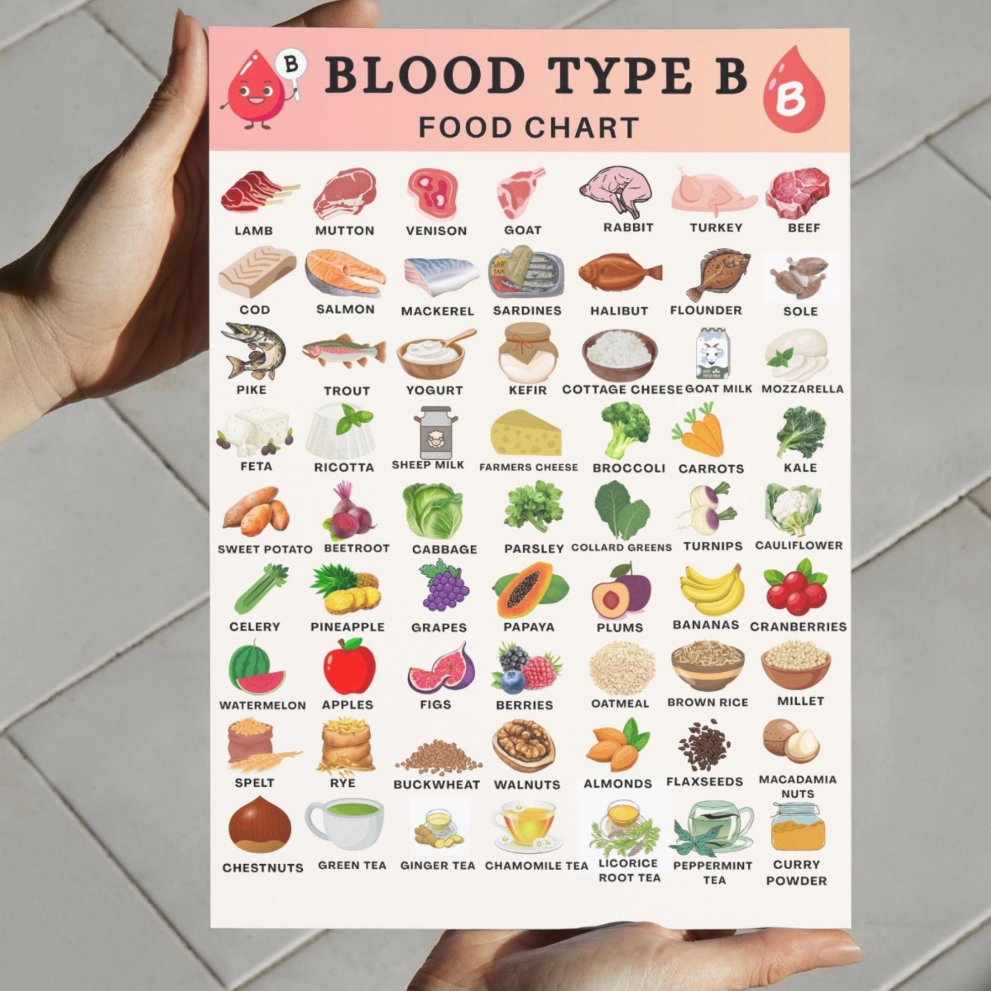 Blood Type B Food List, Blood Group B Chart, Food Choices for Blood ...