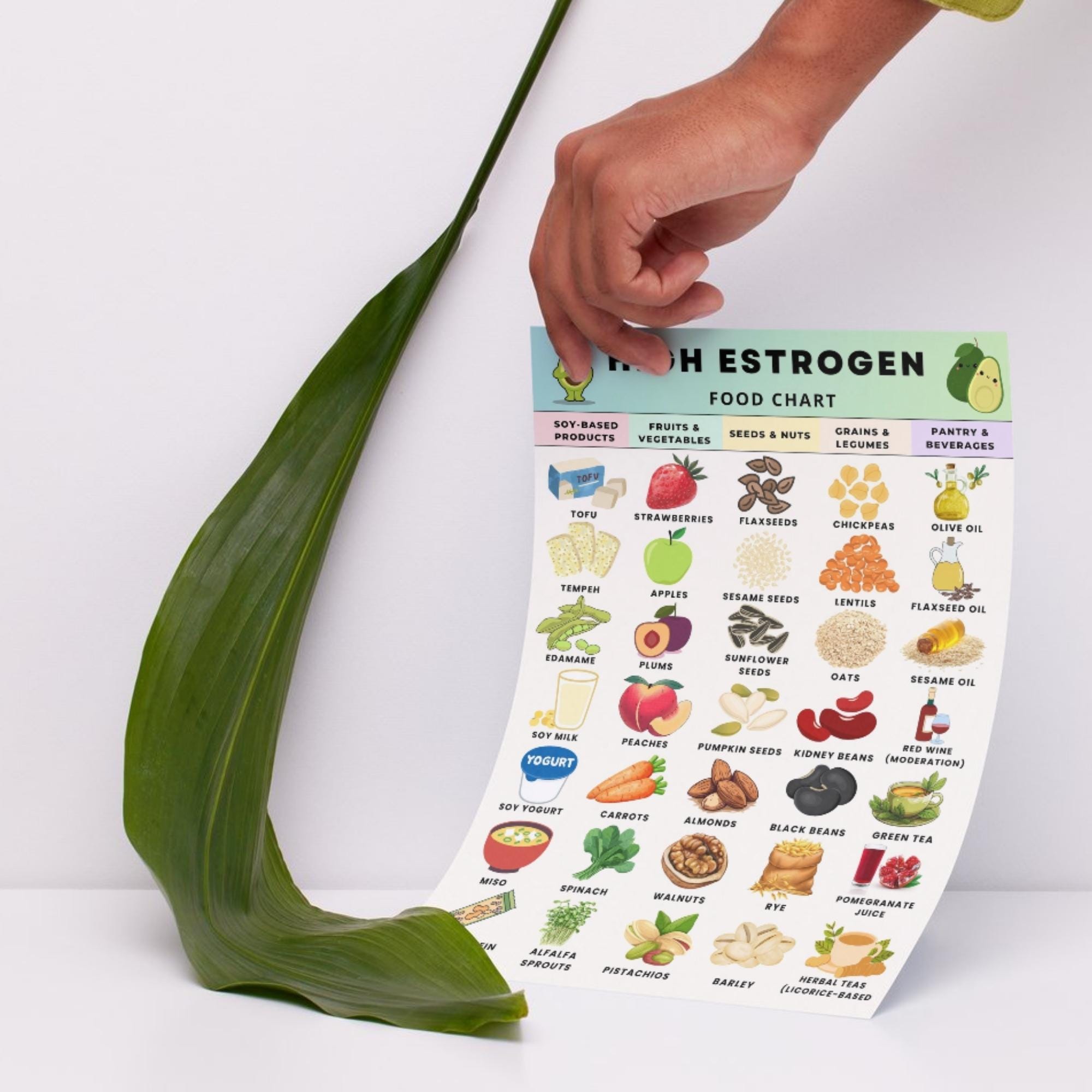 High Estrogen Food List Printable – Phytoestrogen-rich Foods Chart PDF ...