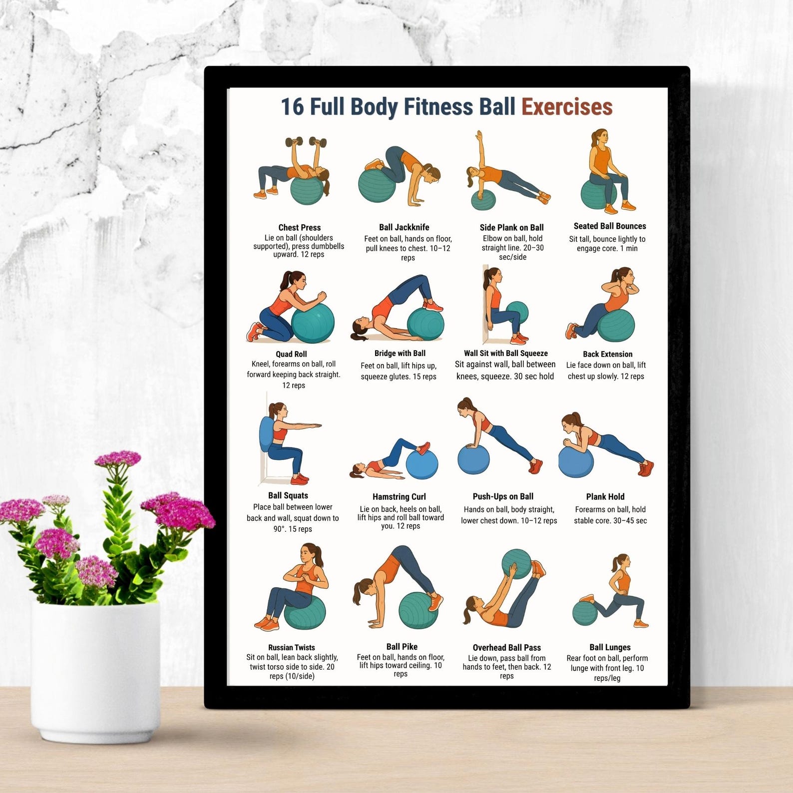 16 Full Body Fitness Ball Exercises Workout Poster, Stability Ball ...