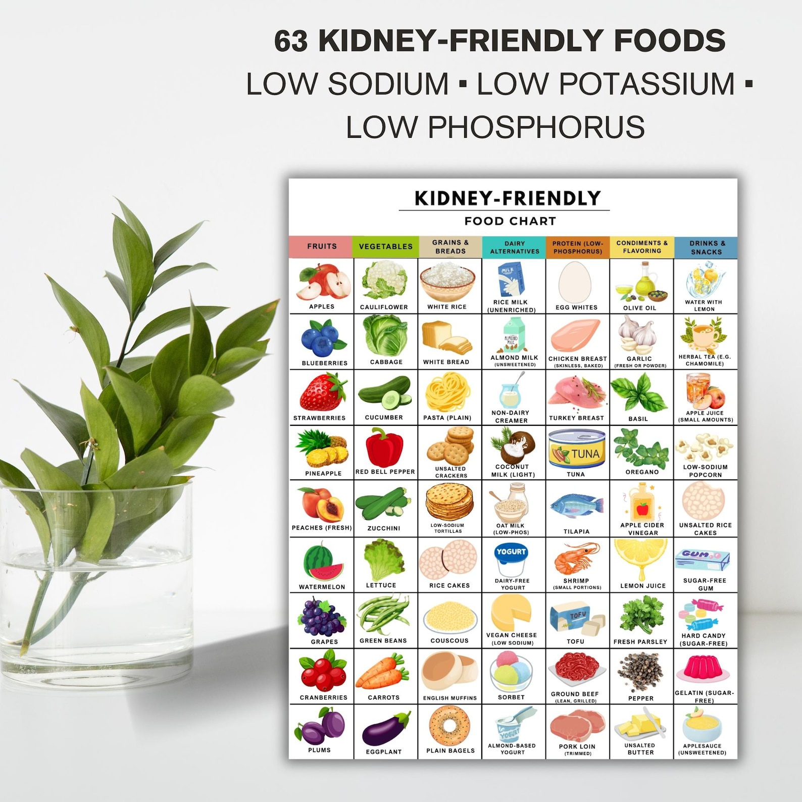 Kidney-friendly Food Chart PDF • Low Potassium, Phosphorus & Sodium ...