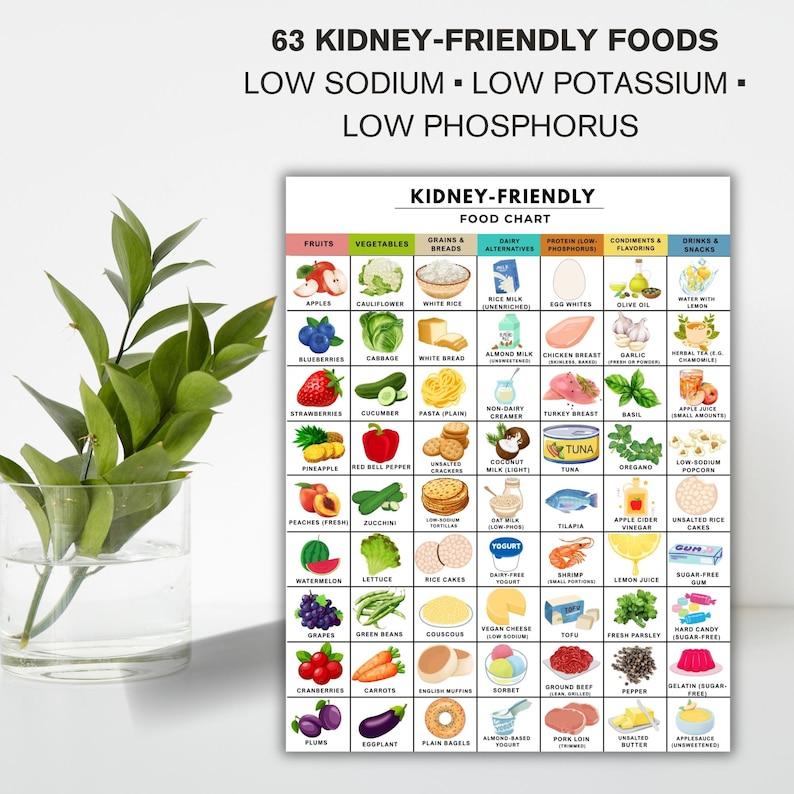 Kidney-friendly Food Chart PDF • Low Potassium, Phosphorus & Sodium ...