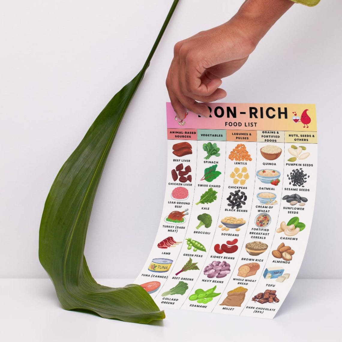 High Iron Foods List Printable, Iron-rich Chart PDF, Foods High in Iron ...