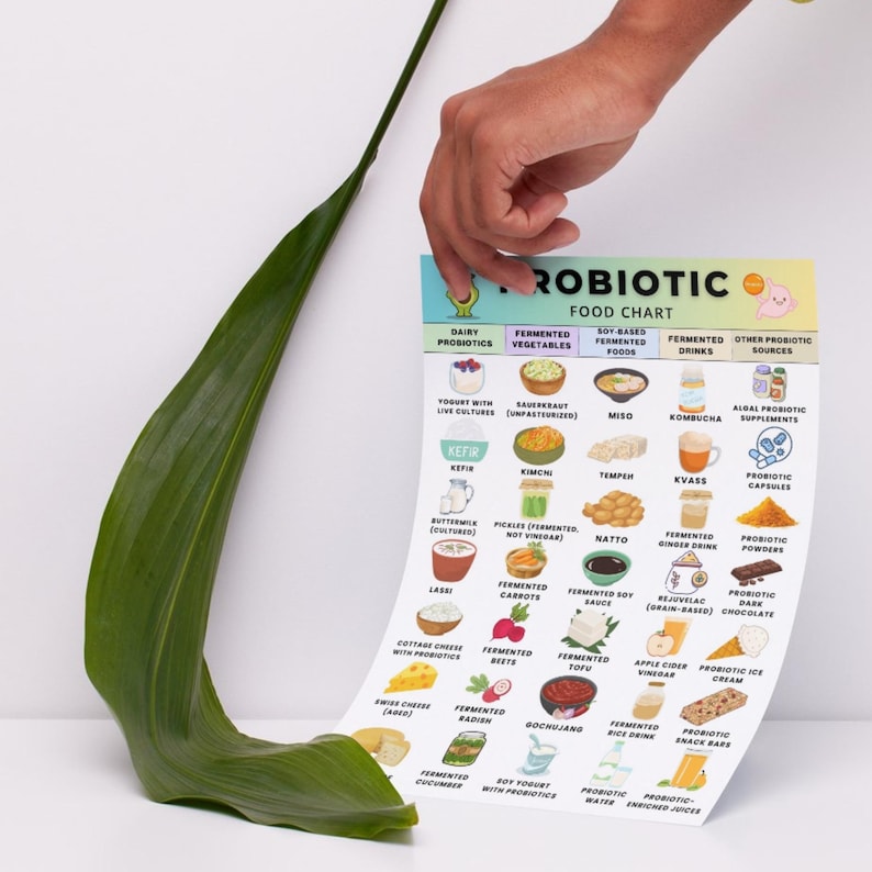 Probiotic Food Chart Printable | Probiotic Food List PDF | Fermented ...