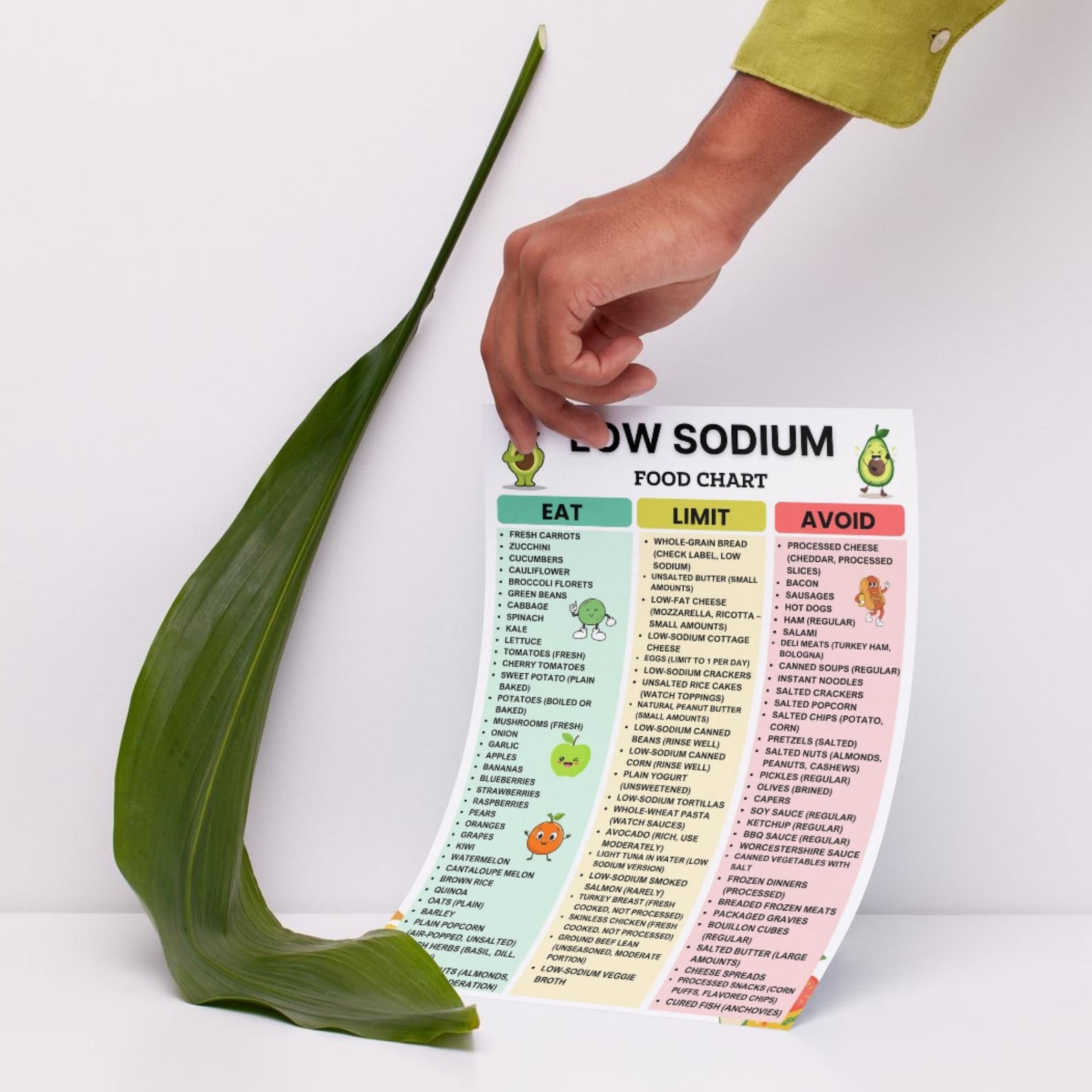 Low Sodium Food List, Low Salt Meal Plan Chart, Grocery List Guide for ...