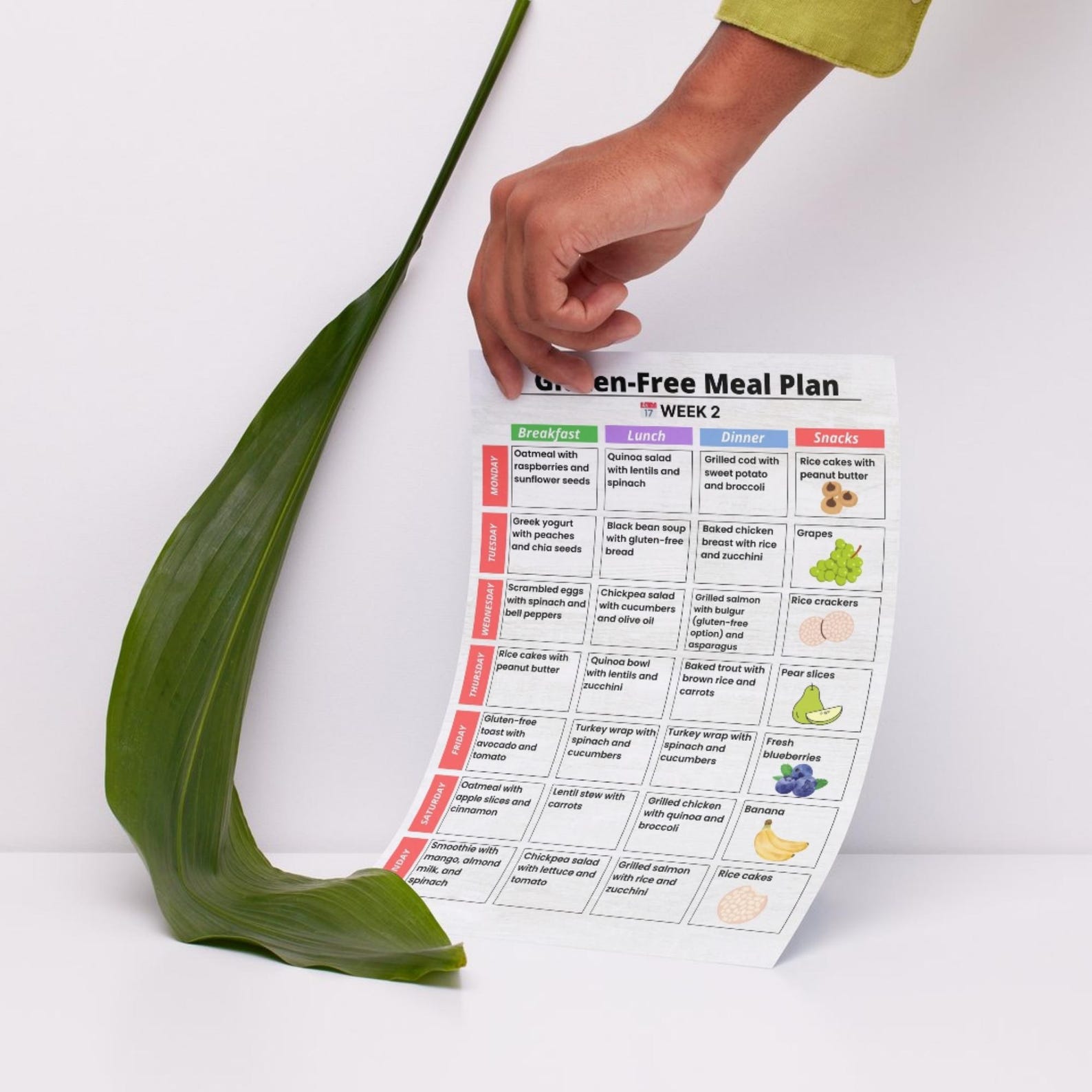 Gluten Free Meal Plan 28 Day PDF, 4 Week Celiac Diet Menu Printable ...