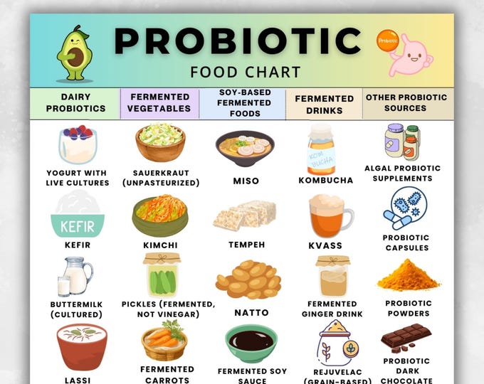 Probiotic Food Chart Printable | Probiotic Food List PDF | Fermented ...
