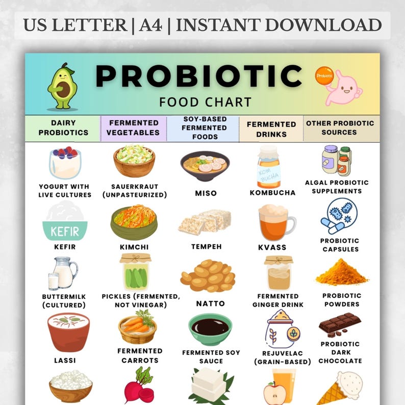 Probiotic Food Chart Printable | Probiotic Food List PDF | Fermented ...