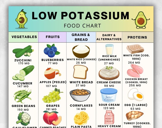 Low Potassium Food Chart, Renal Diet Food List , Dialysis Grocery List ...