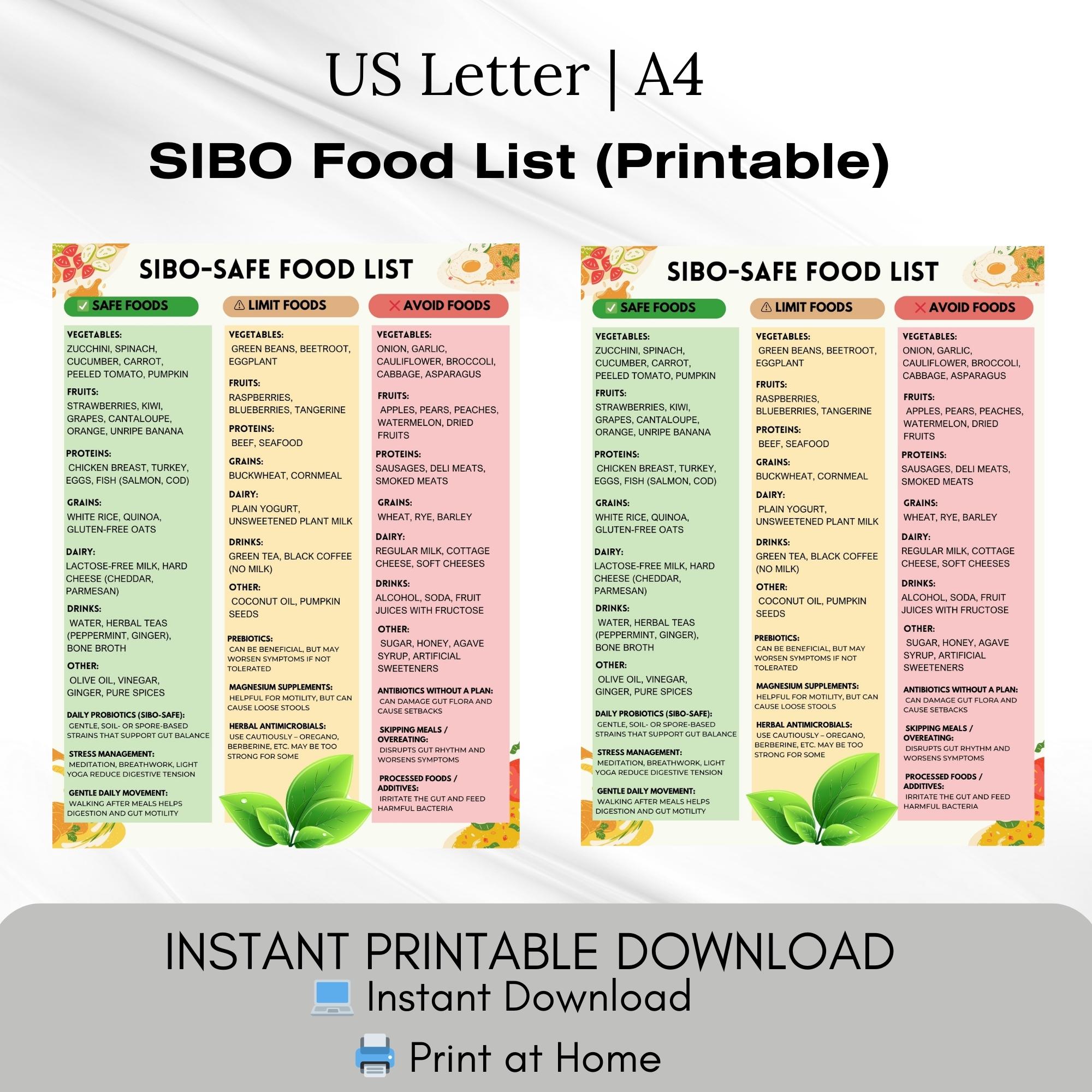 SIBO Safe Food List Pdf | Low FODMAP Chart Printable | What to Eat ...