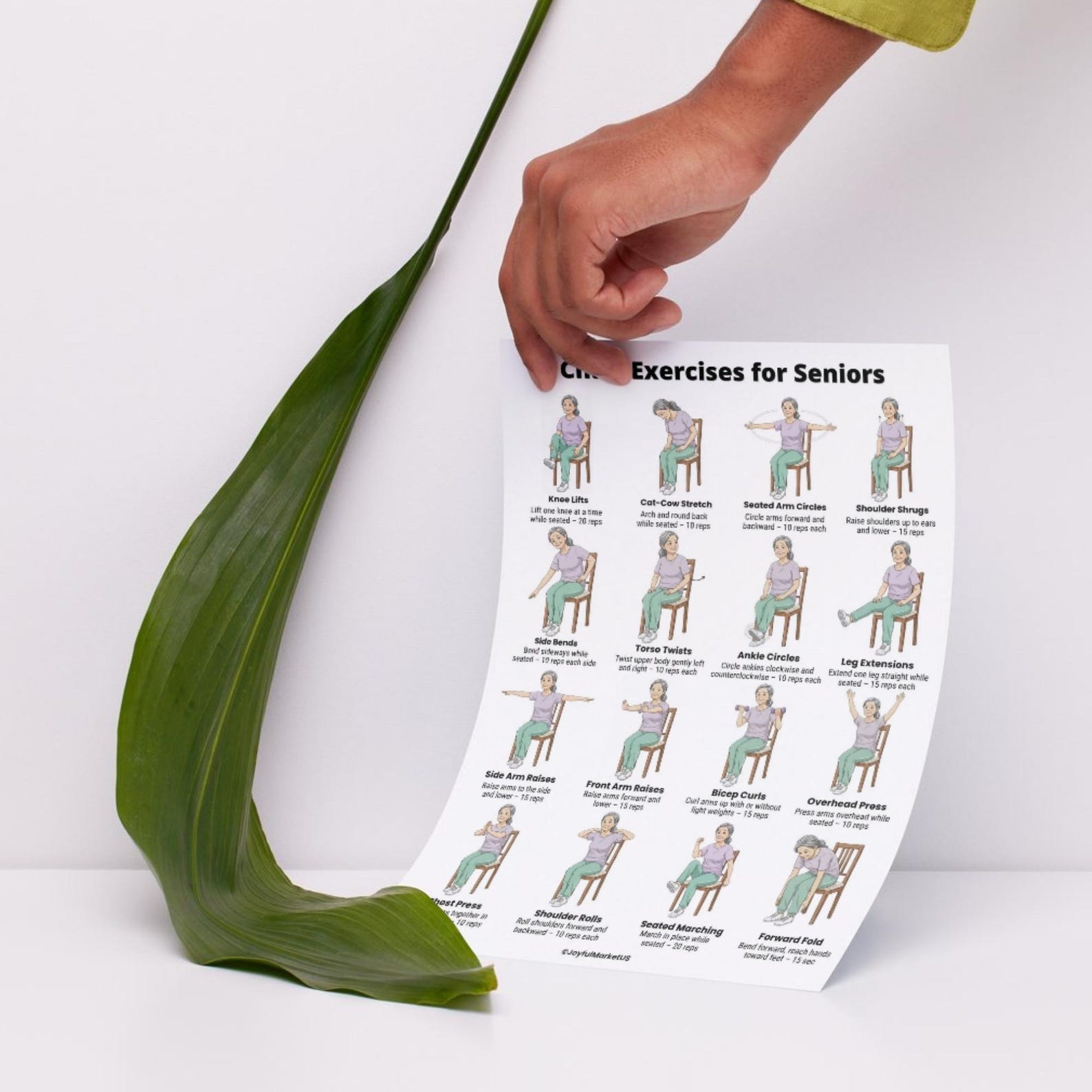 Chair Exercises for Seniors | Seated Chair Workout Chart | Printable ...