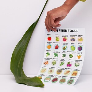 High Fiber Food Chart PDF, High Fiber Foods List Printable, Fiber-rich ...