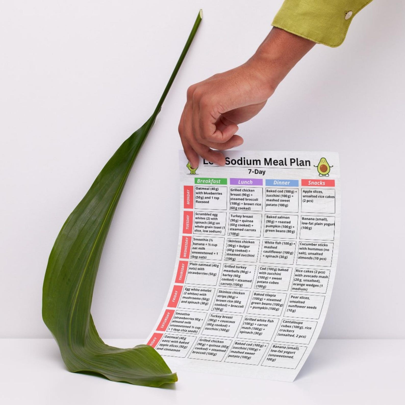 Low Sodium Meal Plan 7 Day, Low Salt Diet for Hypertension, High Blood ...