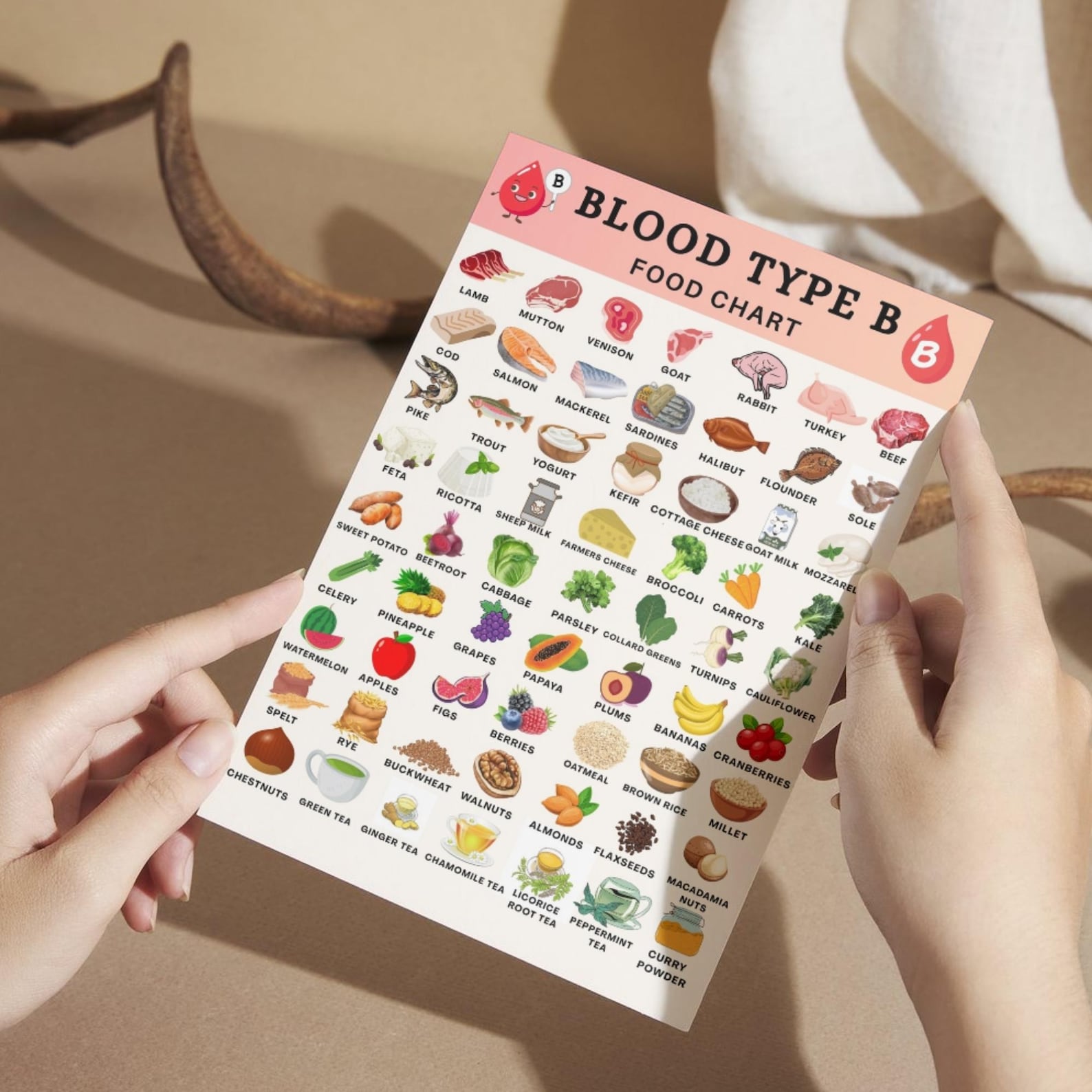 Blood Type B Food List, Blood Group B Chart, Food Choices for Blood ...