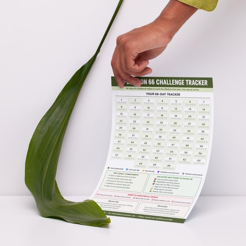 Operation 66 Challenge Tracker Printable | 66 Day Habit Tracker PDF ...