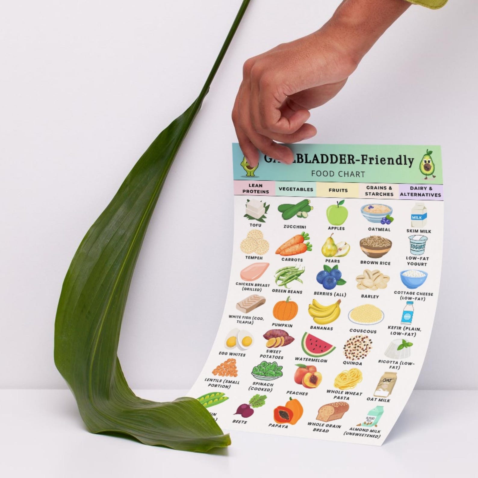 Gallbladder Diet Food Chart PDF, Low Fat Food List, Gallstones Diet ...