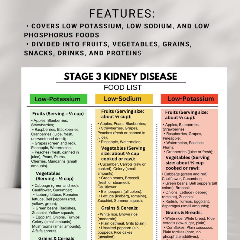 STAGE 3 Kidney Disease Food List | Renal Diet Printable | Kidney ...