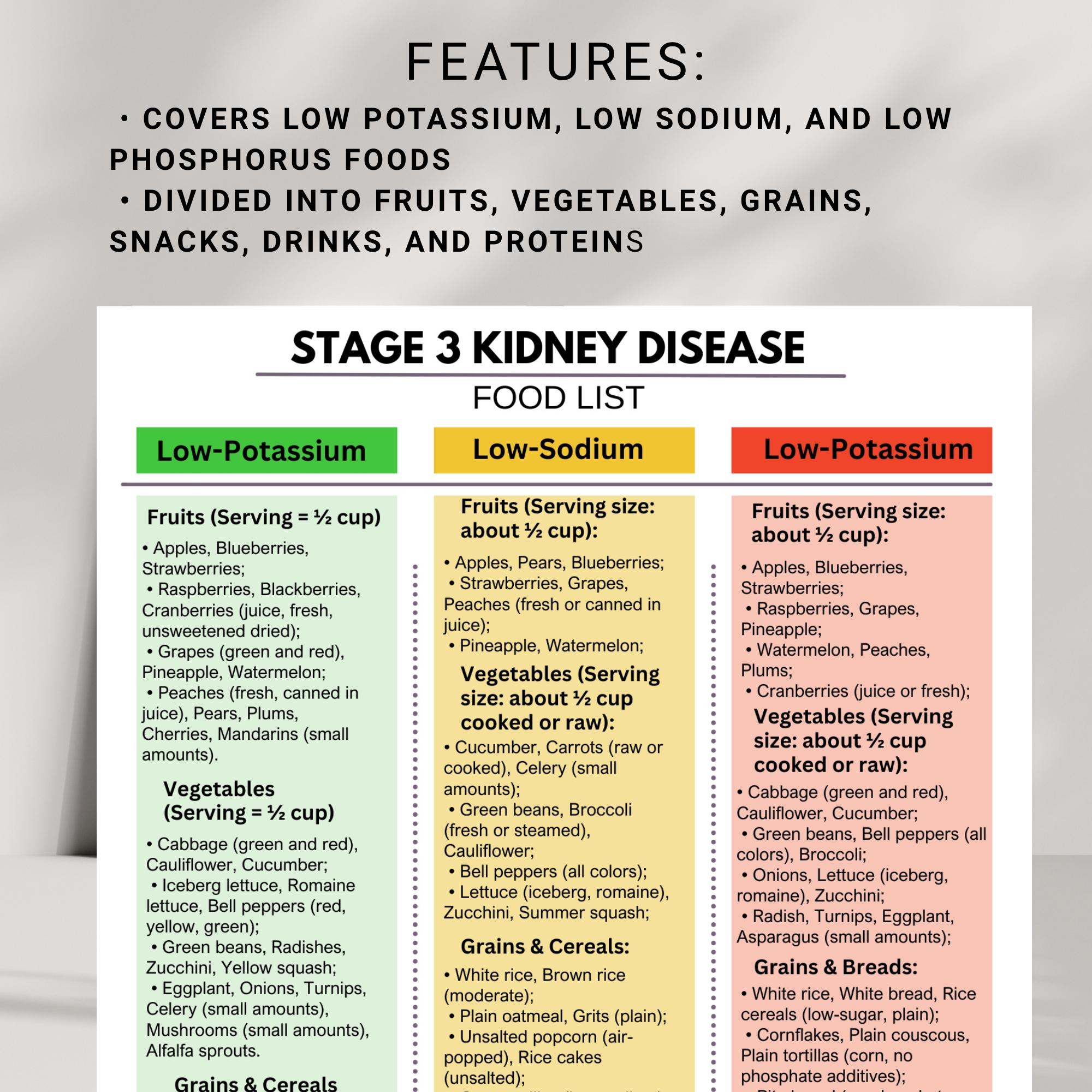 STAGE 3 Kidney Disease Food List | Renal Diet Printable | Kidney Friendly Foods | Low Potassium ...