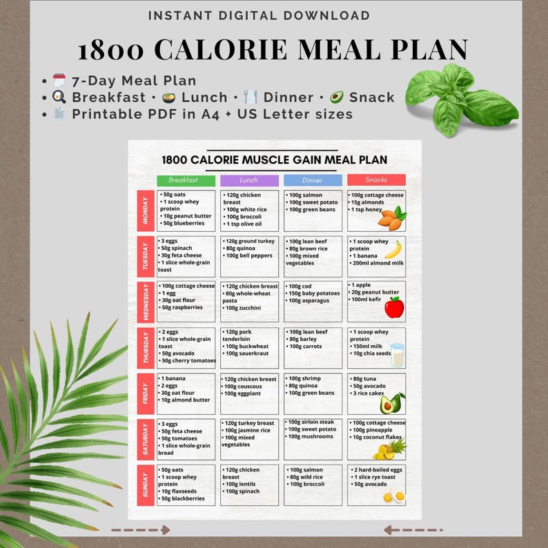 1800 Calorie Meal Plan PDF, 7-day High Protein Food Chart, Printable ...