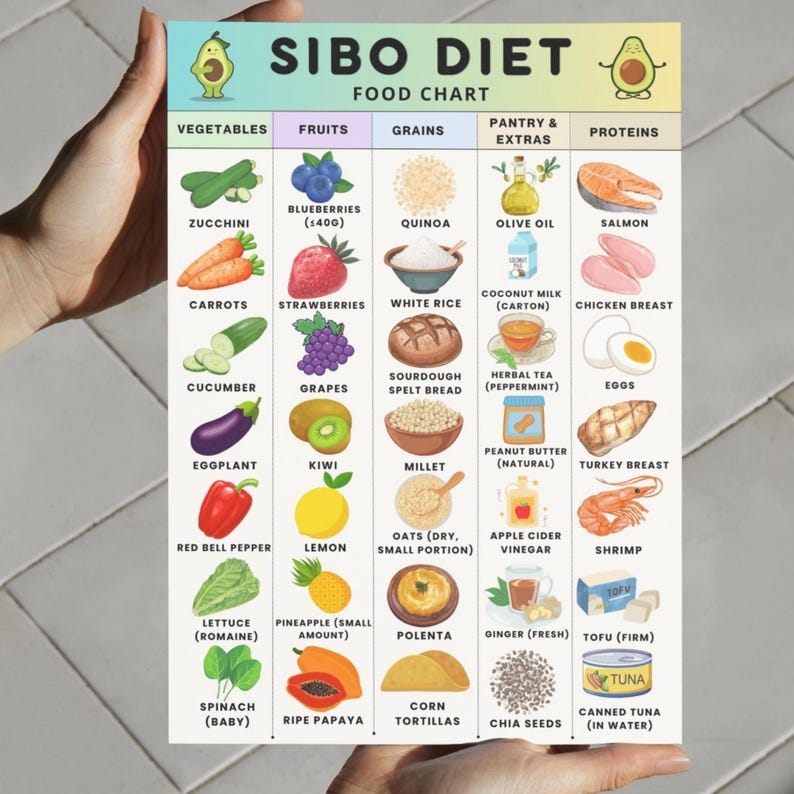 SIBO Diet Food Chart Printable, Low FODMAP Food List, Gut-friendly Grocery PDF, Sibo Diet Food ...