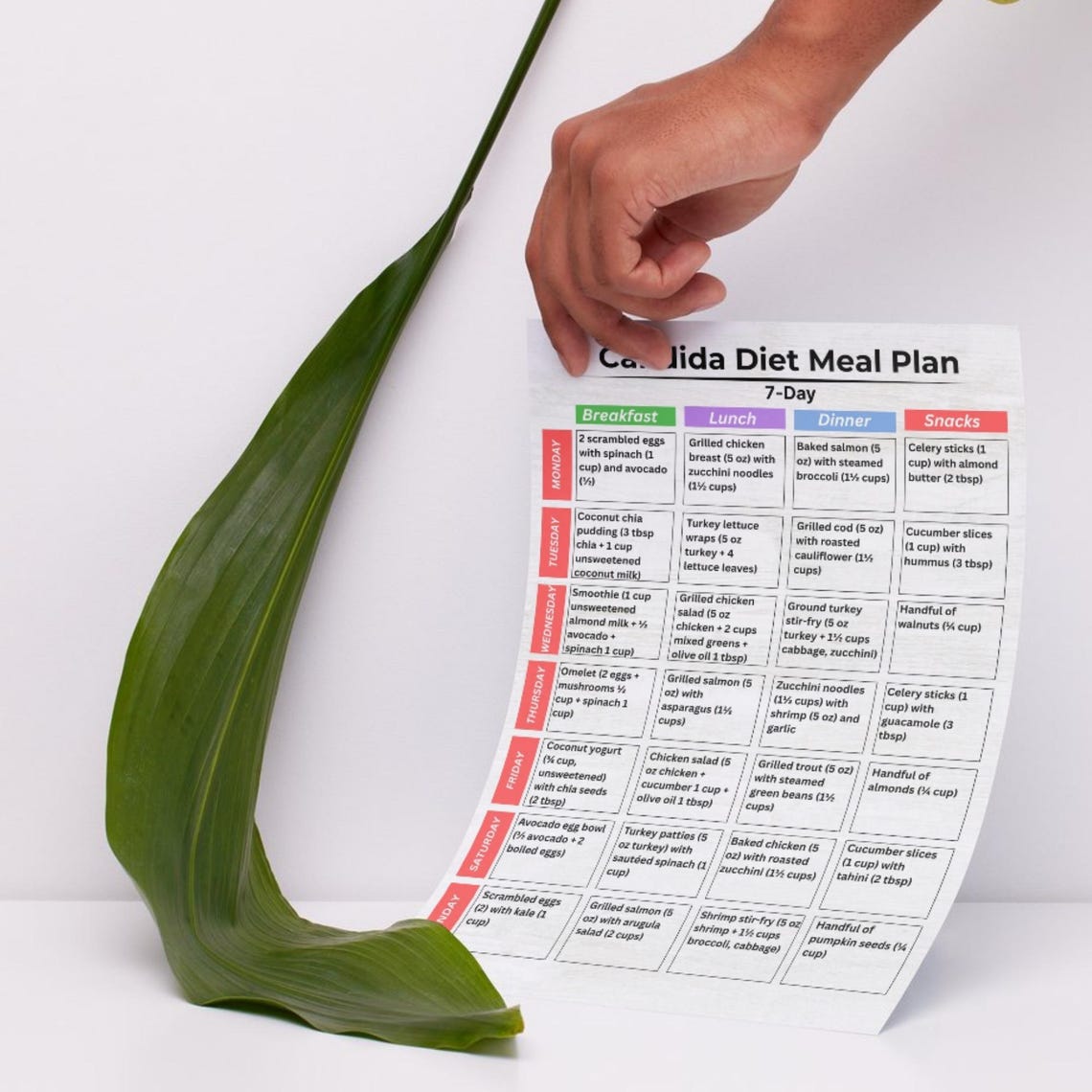 Candida Diet Meal Plan 7 Day Printable, Candida Diet Foods PDF, Candida ...