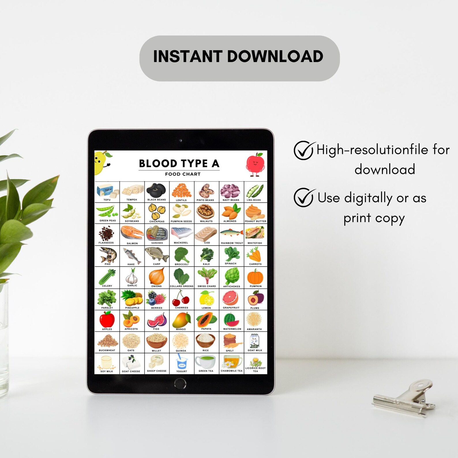 Blood Type A Food List – 63 Beneficial Foods | Printable Diet Chart PDF ...