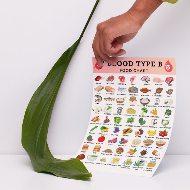 Blood Type B Food List, Blood Group B Chart, Food Choices for Blood ...