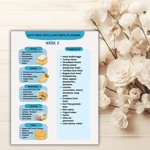 Nut-free Kids Lunchbox Planner | 4-week School Meal Plan & Grocery List ...