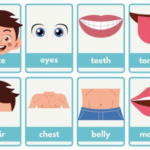 Body Parts Flashcards for Kids Printable Human Body Learning Cards ...