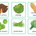 Vegetable Flashcards for Kids Printable Healthy Food Cards Preschool ...