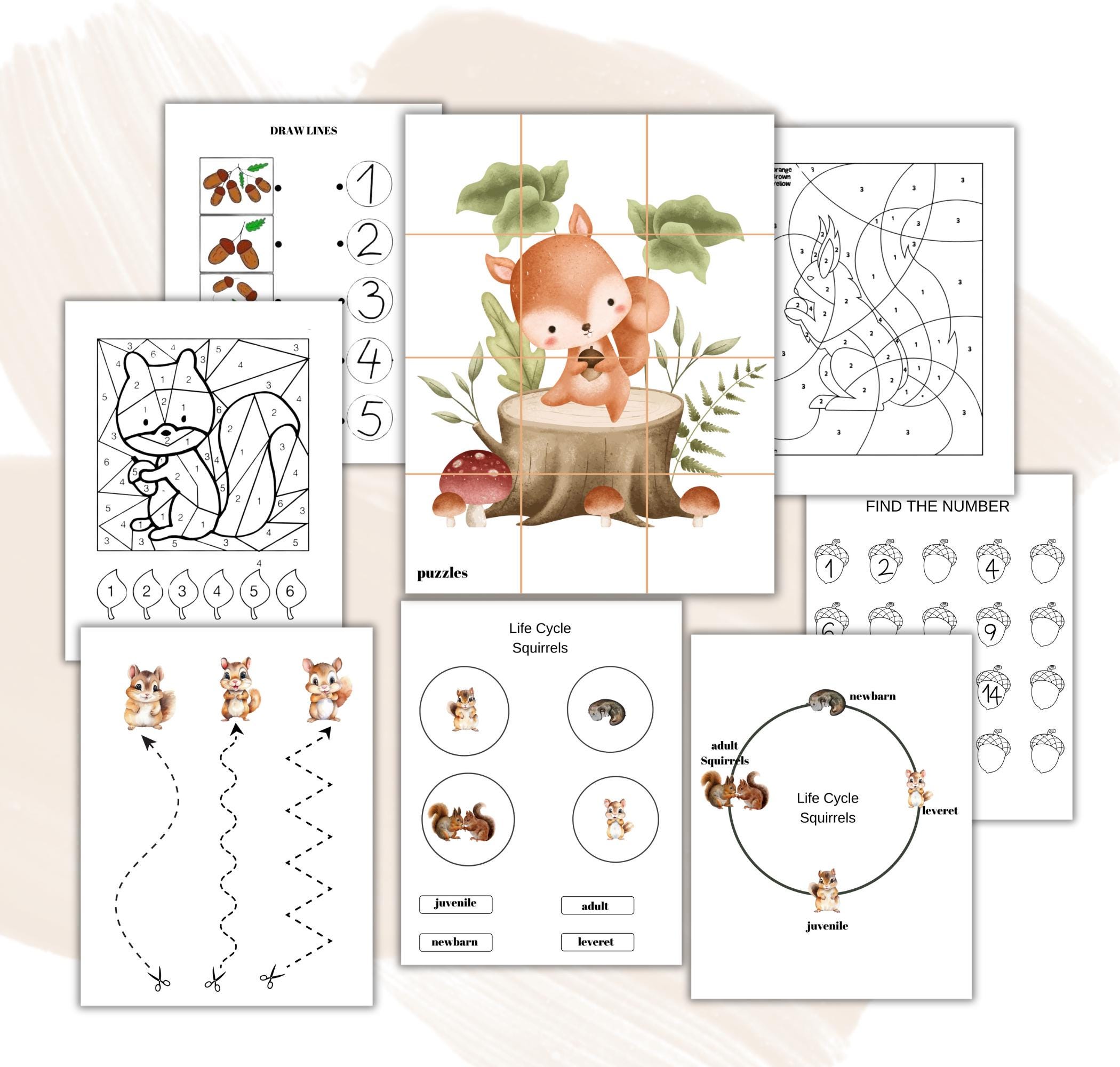 SQUIRREL Unit Study, Life Cycle, Anatomy, Nature Study, Science ...