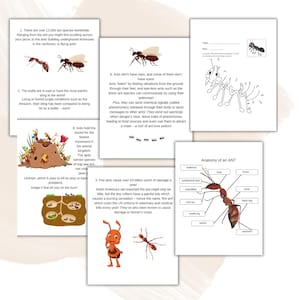 ANT, Unit Study, Life Cycle, Anatomy, Nature Study, Science, Homeschool ...