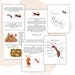 ANT, Unit Study, Life Cycle, Anatomy, Nature Study, Science, Homeschool ...
